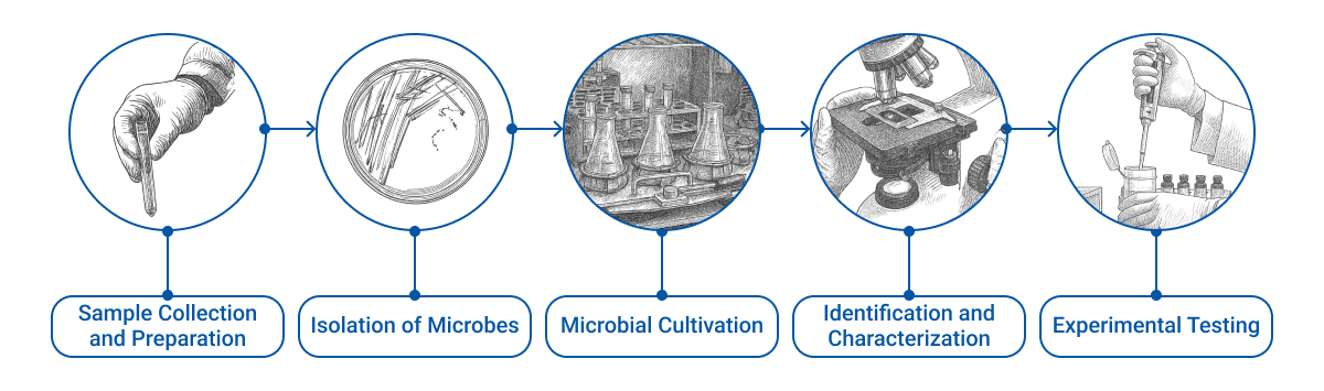 What Is Microbiology? A Guide to Microbial Science, Lab Techniques, and ...