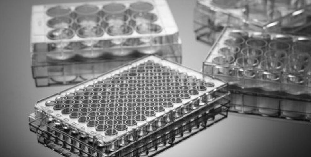 The Right Plates for your Project