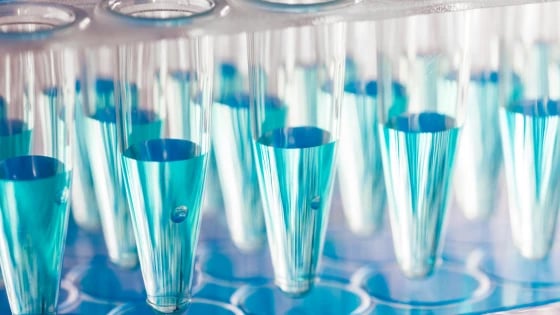 The Different Types of PCR Methods | Pipette.com