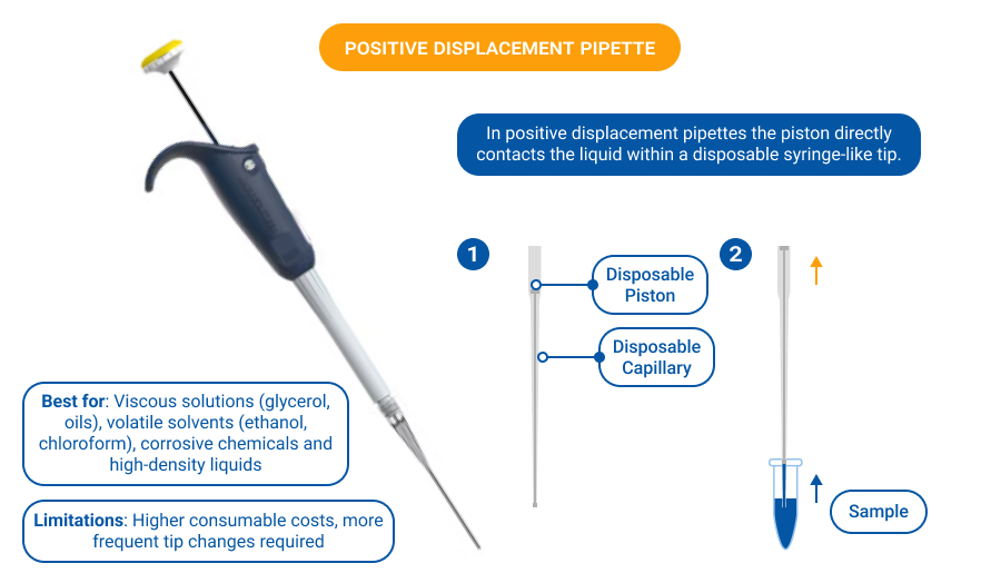 Guide to Pipetting | Pipette.com
