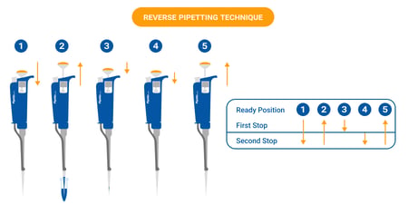 Guide to Pipetting | Pipette.com
