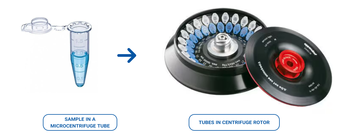 8 Types of Laboratory Centrifuges & The Purposes They Serve