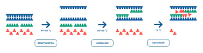 Running PCR in the Lab: Considerations That Matter