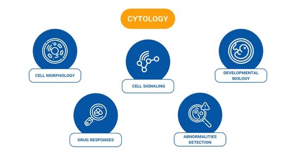 What Is Cytology? Exploring Cell-Based Research and Lab Essentials