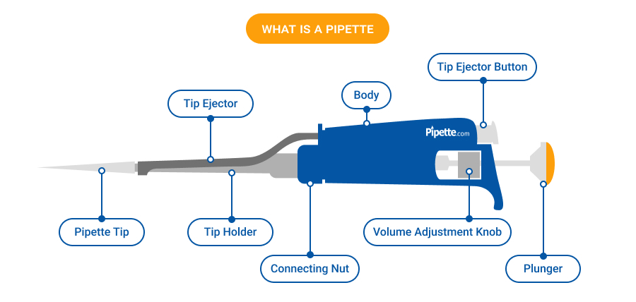 Guide to Pipetting | Pipette.com