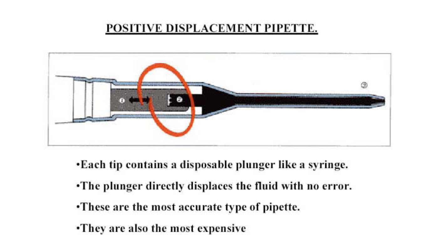 Guide to Pipetting | Pipette.com