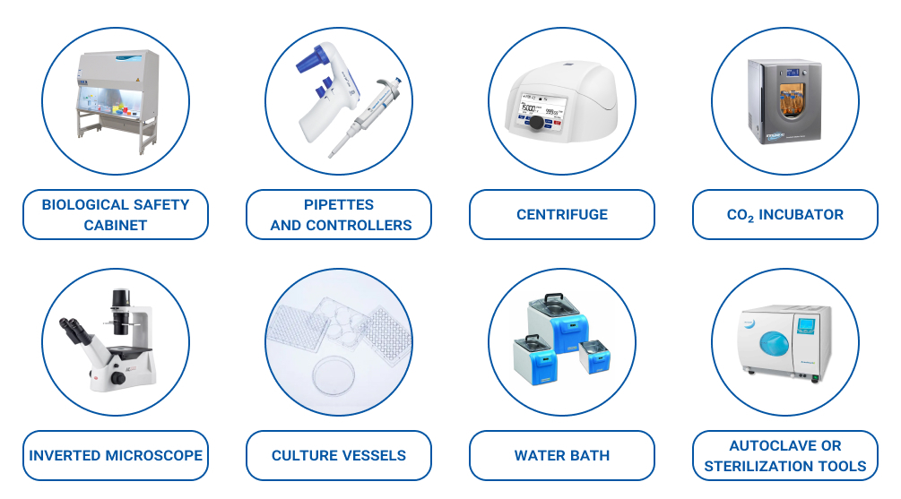 What Is Cytology? Exploring Cell-Based Research and Lab Essentials