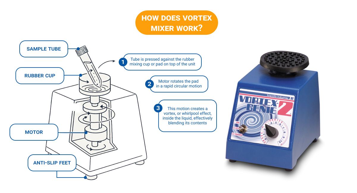 What is a Vortex Mixer? A Lab-Ready Guide for Beginners