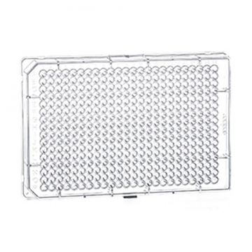 PCR - 384 Plates | 384 Well Plates - Plates