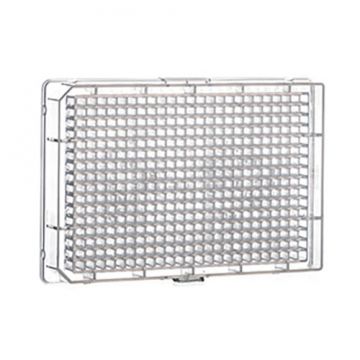 Immunology - 384 Plates | PCR Plates & Well Plates