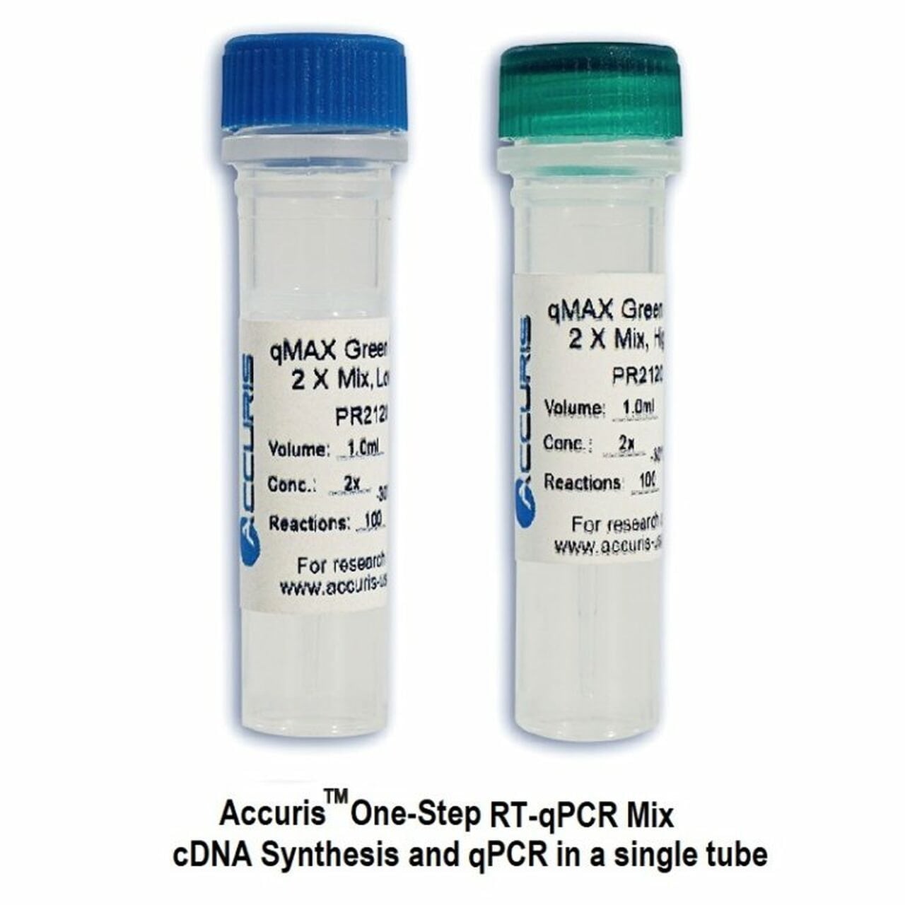 Benchmark Accuris qMAX Probe qPCR Master Mix