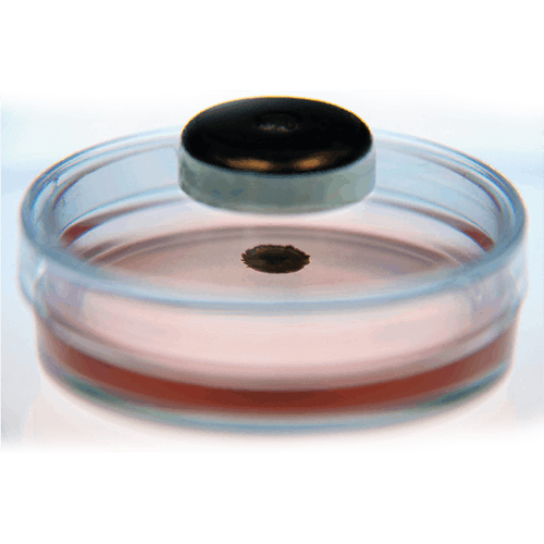 Greiner Magnetic 3D Cell Culturing