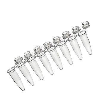 PCR Strip Tubes | Tubes & Vials