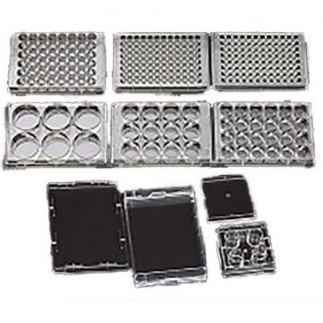 Immunology Plates | Plates